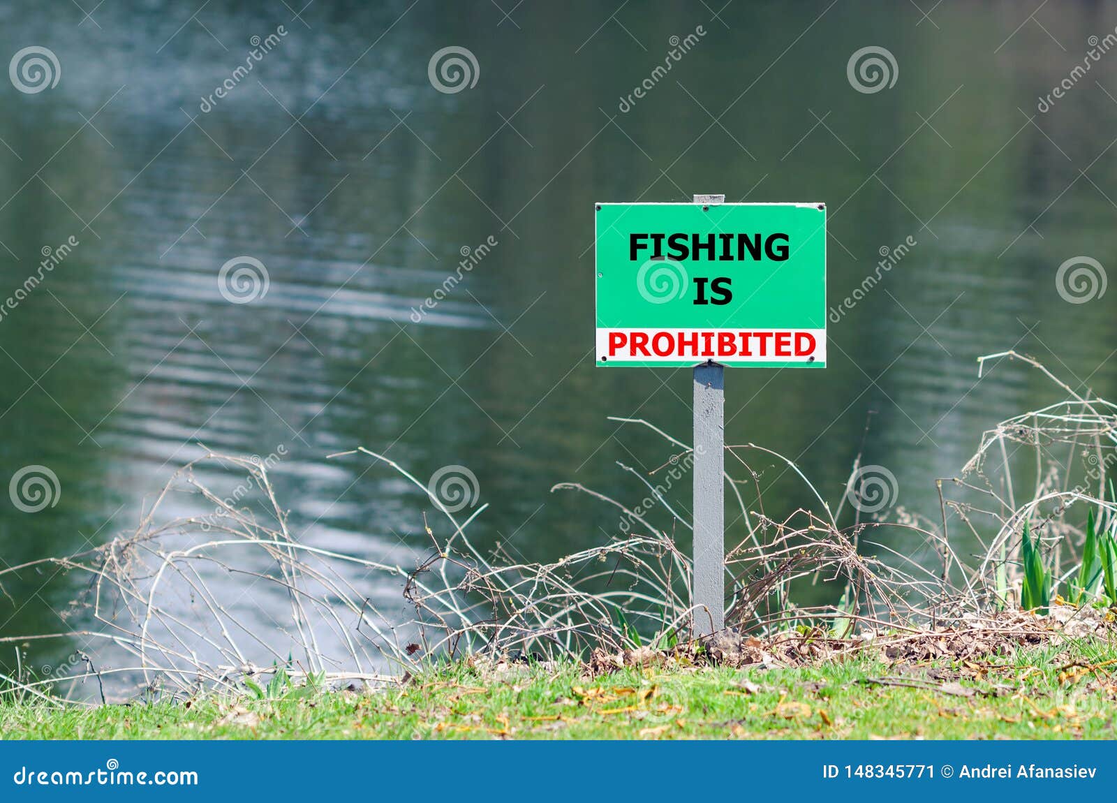A Sign Prohibiting Fishing in the Pond Stock Image - Image of fish ...