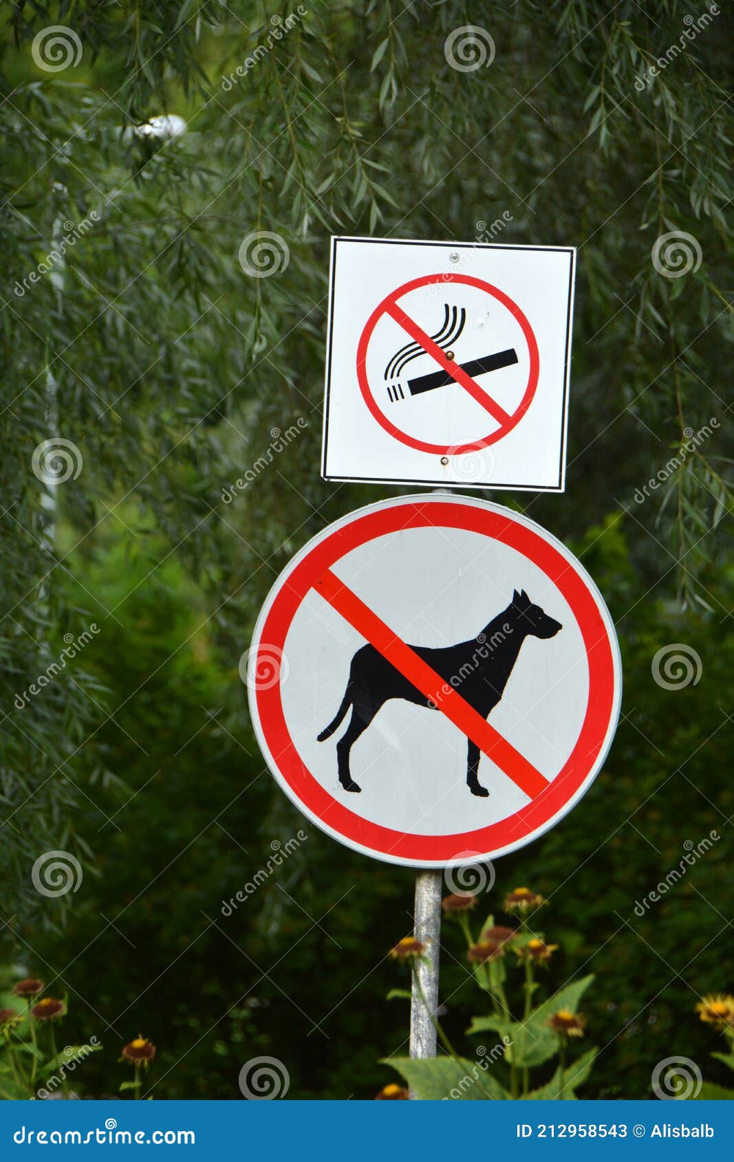 Sign in Public Park Warning that Dogs are Not Permitted. Stock Image ... Sign in Public Park Warning that Dogs are Not Permitted. Stock Image ...