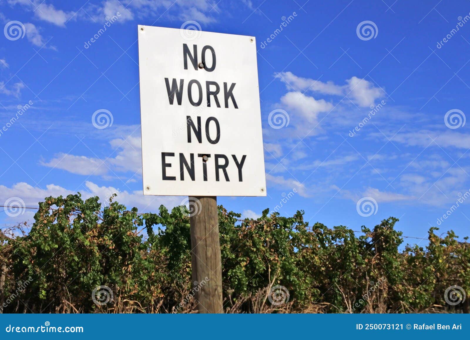Sign Reading No Work No Entry Stock Image - Image of farm, guide: 250073121