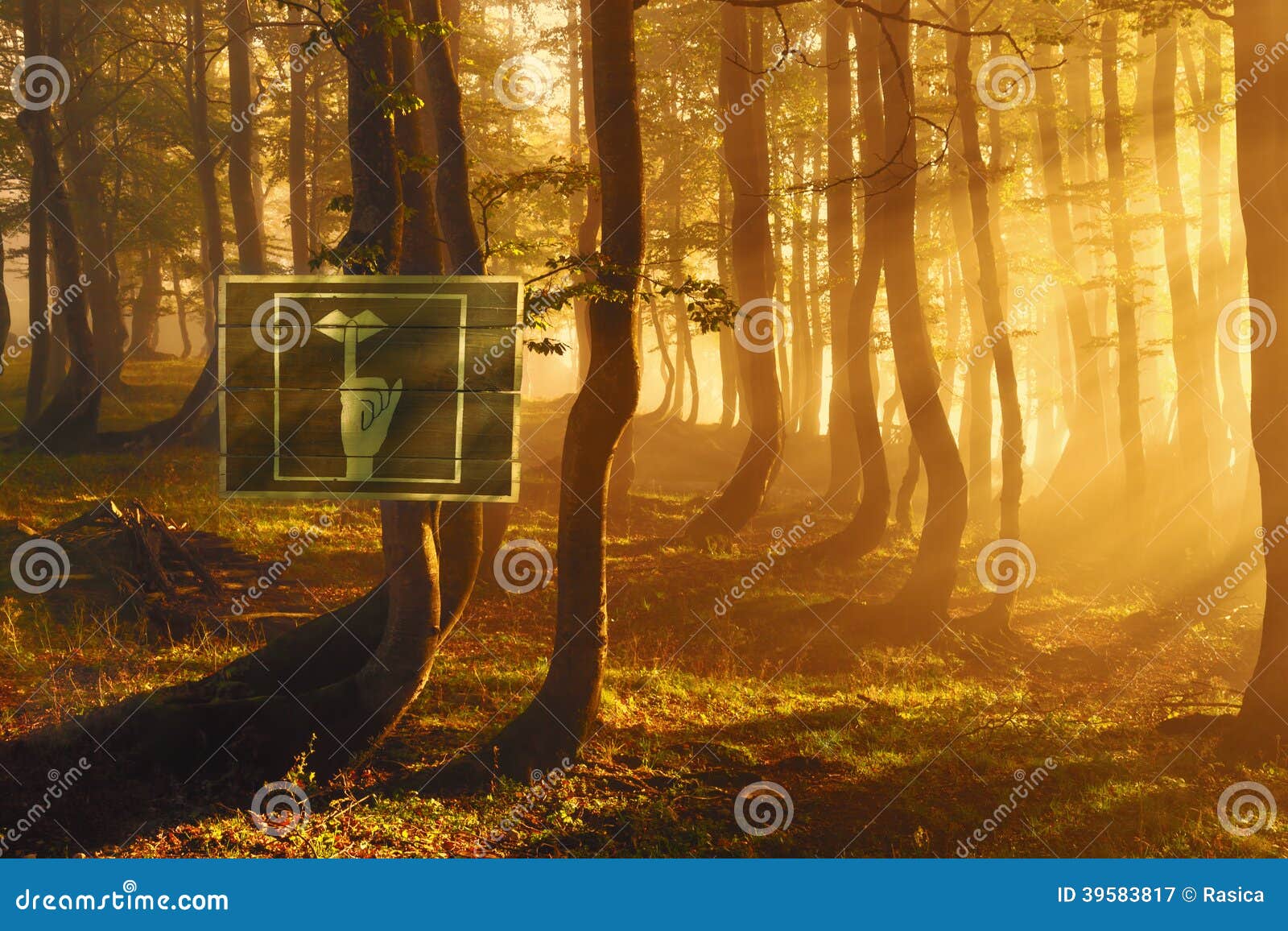 Sign with a Request for Silence in the Forest Stock Image - Image of ...