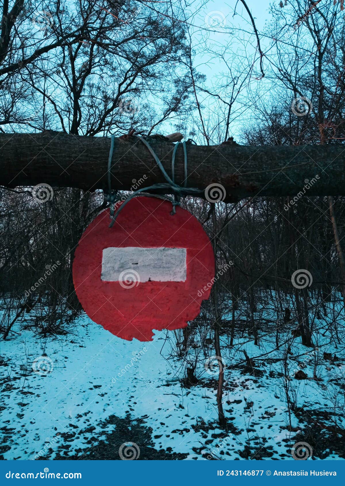 Sign safety red stop trees stock image. Image of sign - 243146877