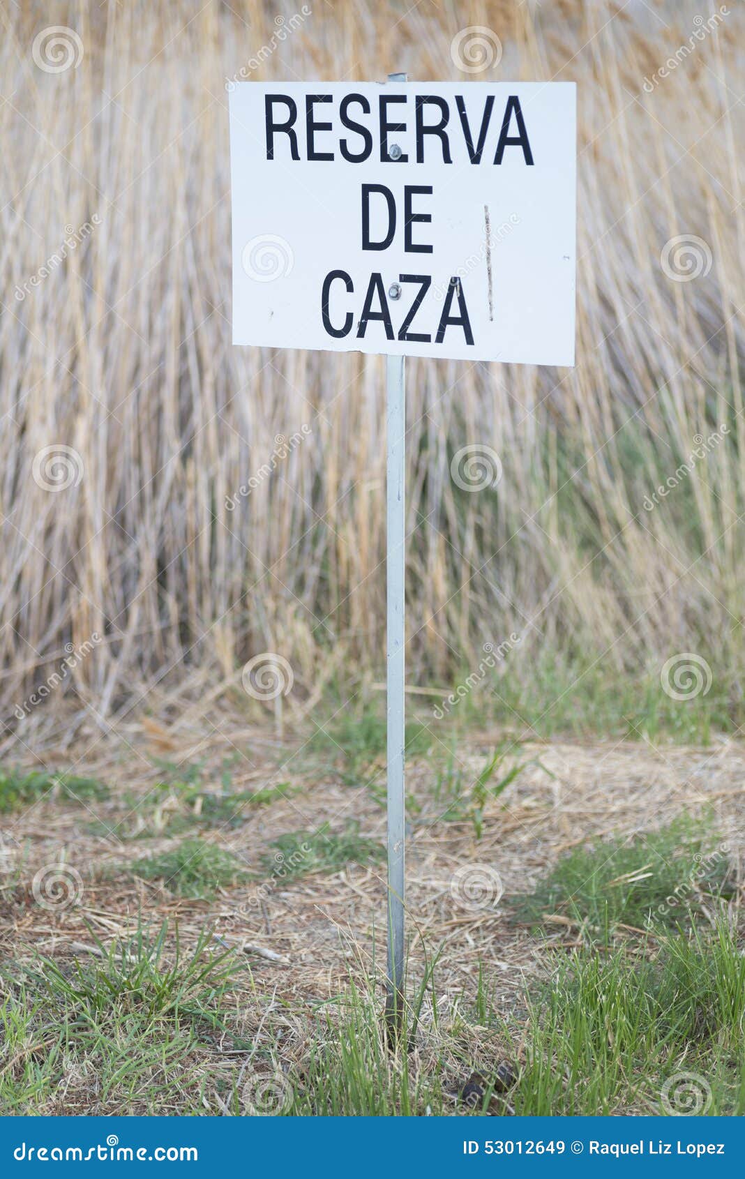 Sign. stock image. Image of prey, hunter, hunt, animals - 53012649