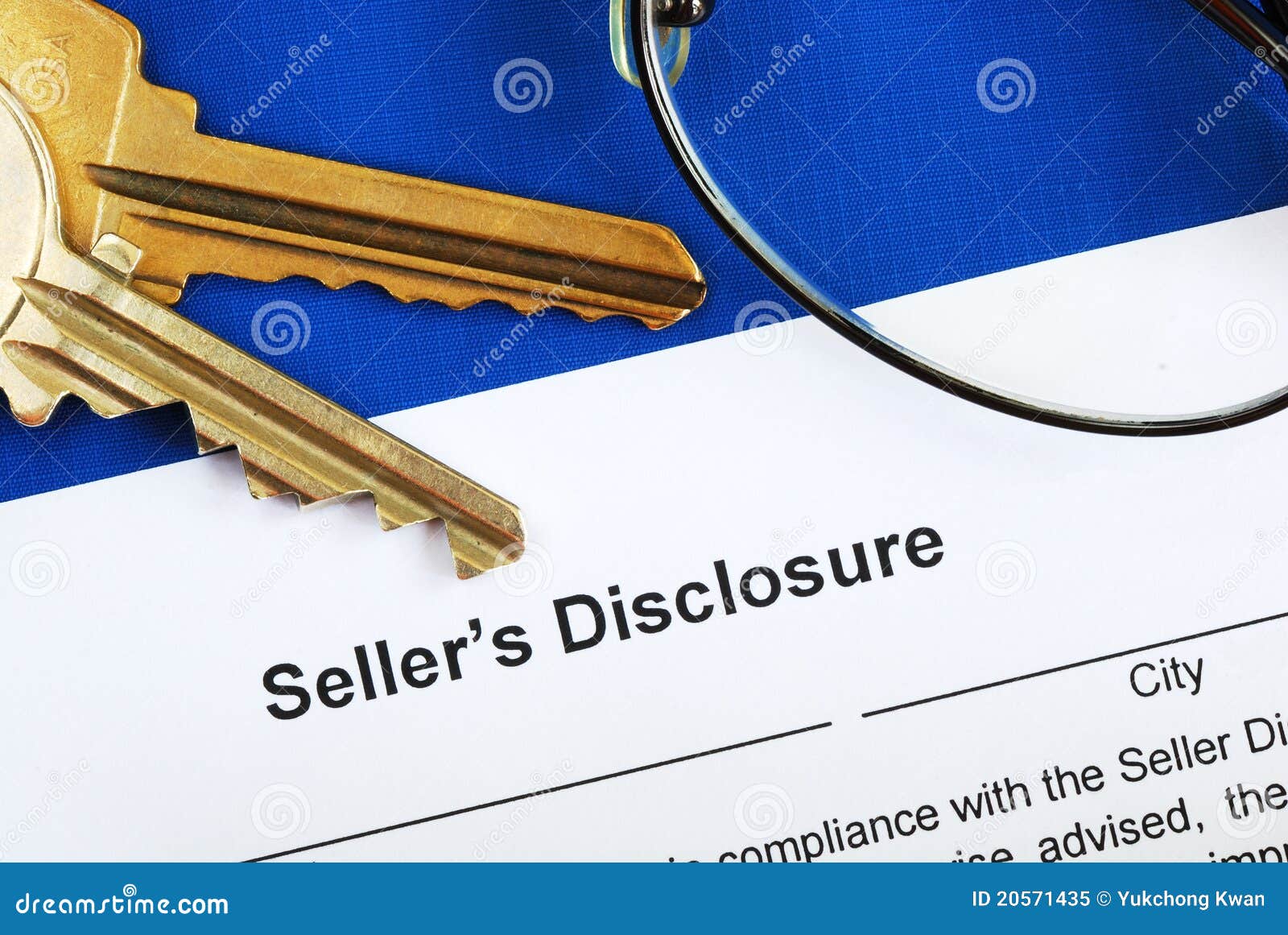 Sign the Seller Disclosure Statement Stock Image - Image of estate ...