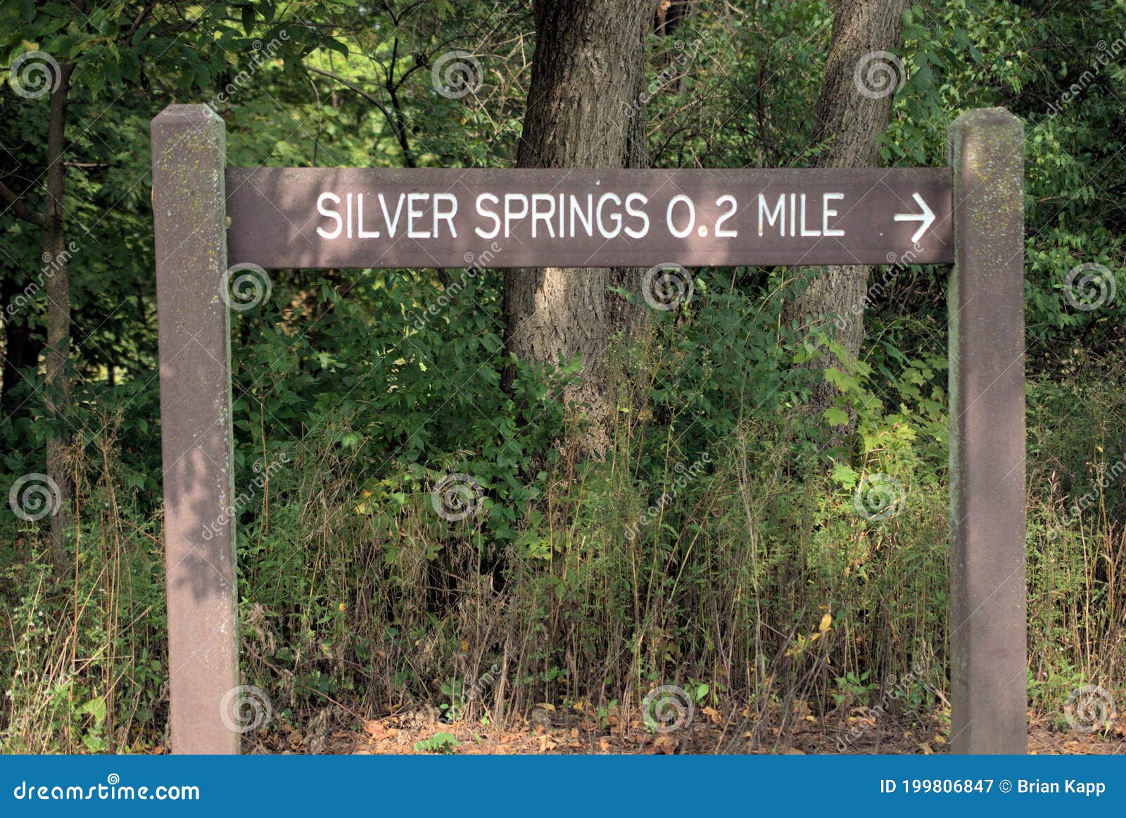 A Sign within Silver Springs State Park, Illinois, USA Stock Image ...