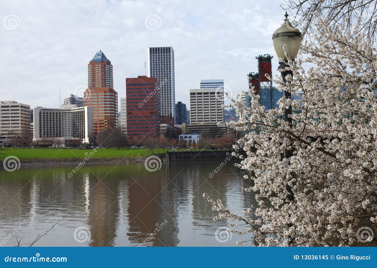 Sign of Spring, Portland Oregon. Stock Image - Image of river, green ...