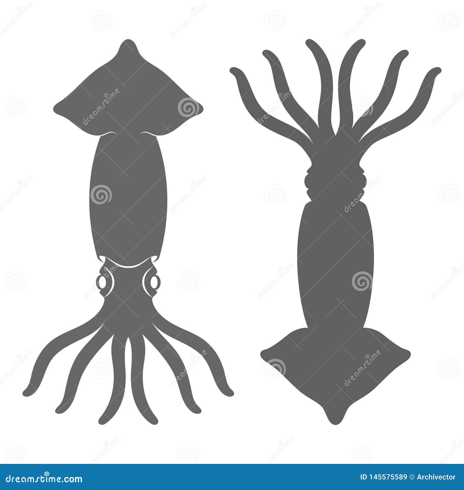 Squids grey signs stock vector. Illustration of meat - 145575589