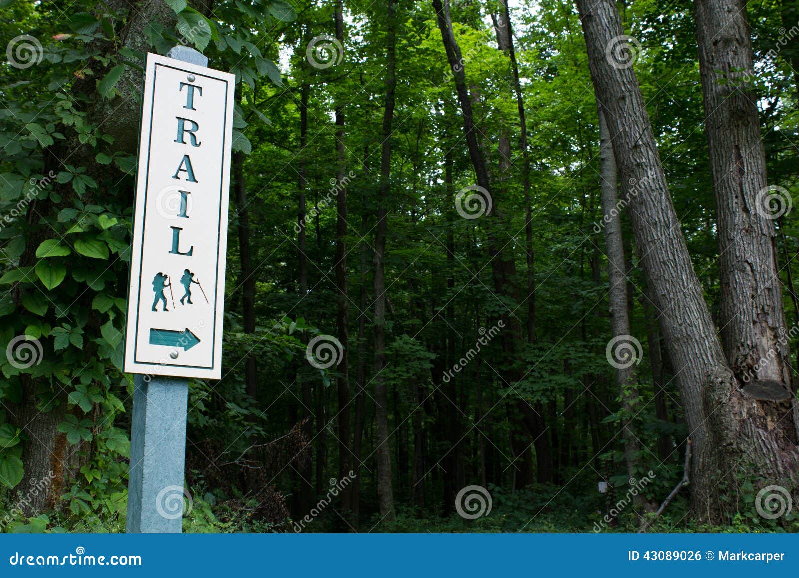 Sign at the Start of a Trail Stock Photo - Image of path, woods: 43089026