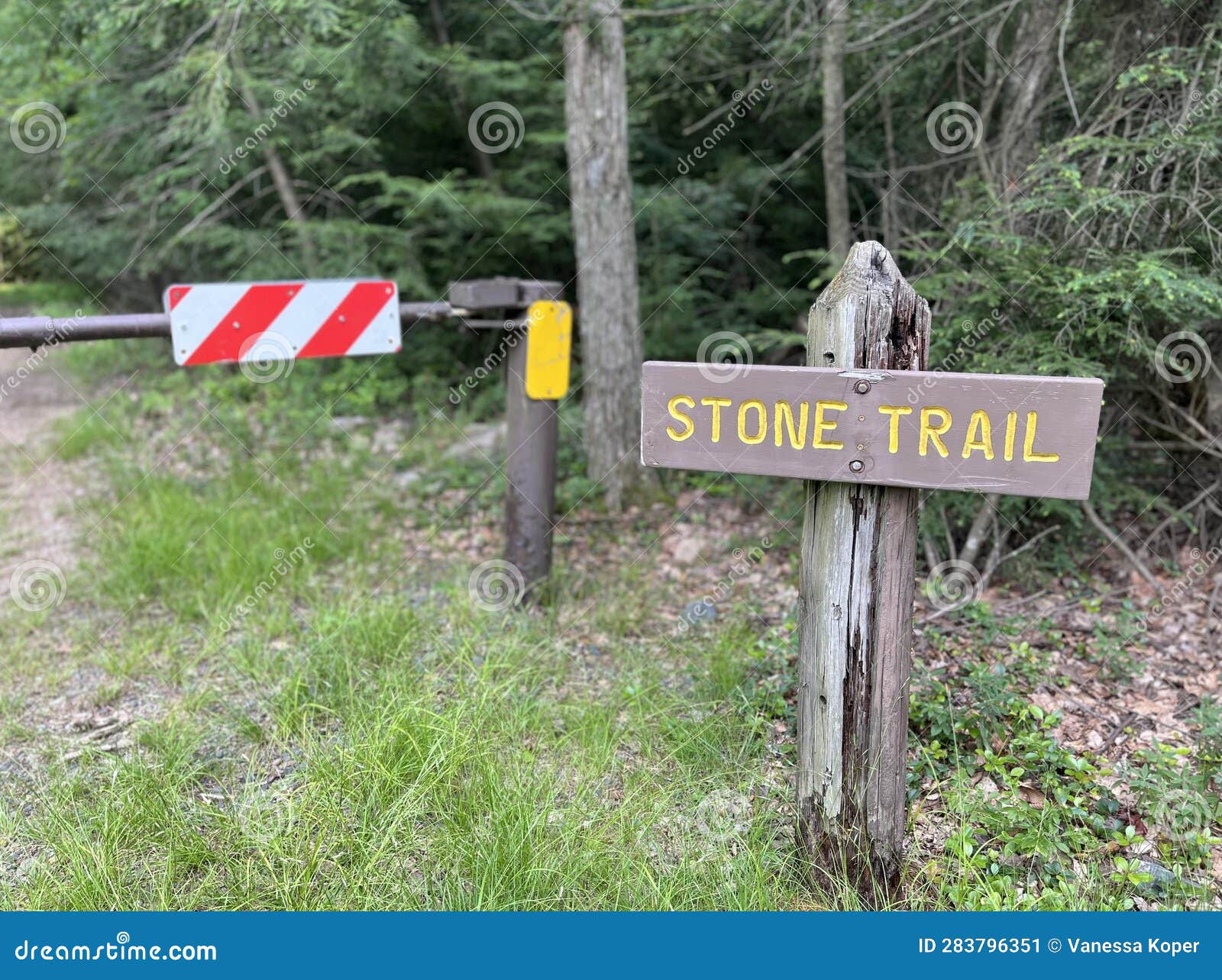 The Sign for Stone Trail in Hickory Run State Park Stock Image - Image ...