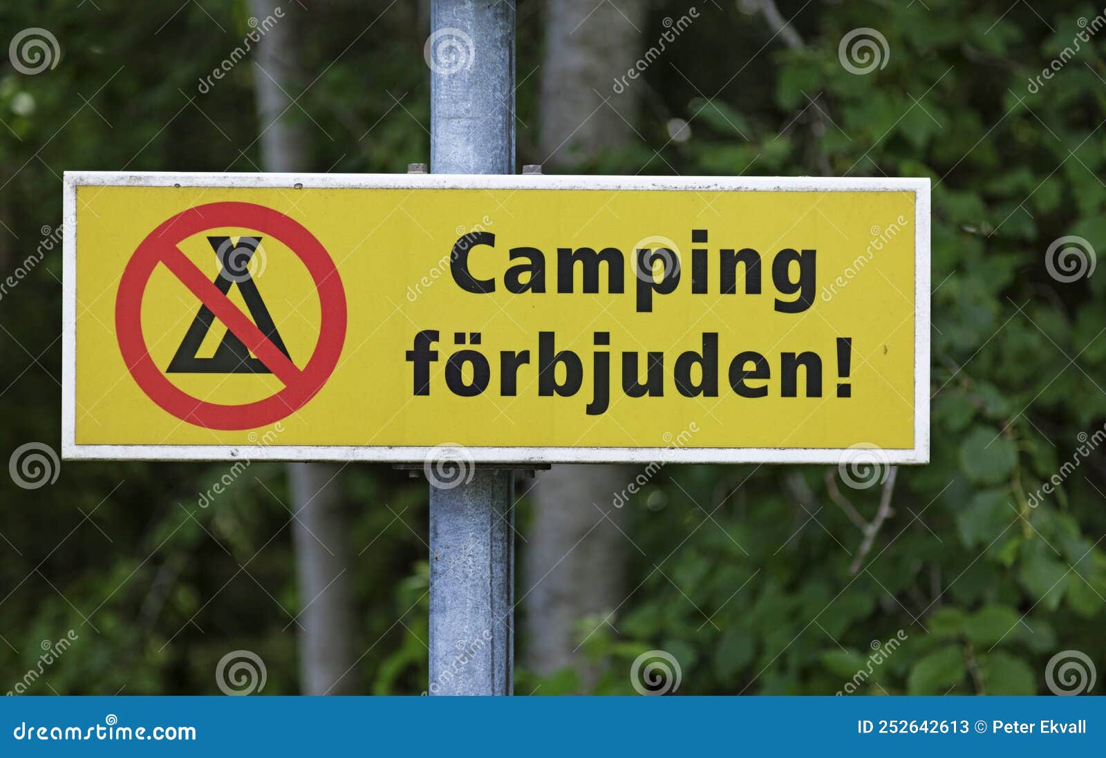 Sign with the Text: - Camping Prohibited Stock Image - Image of ...