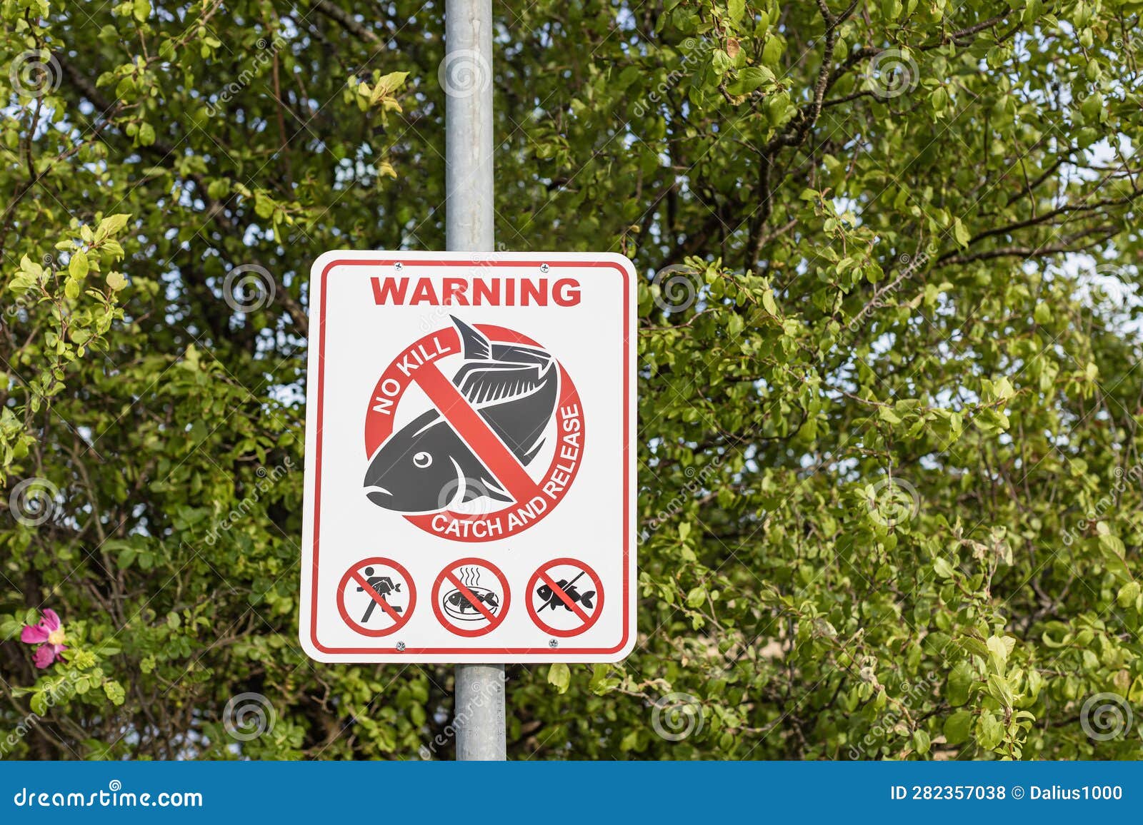 Sign To Regulate Fishing Rules - Warning. No Kill. Catch and Release ...