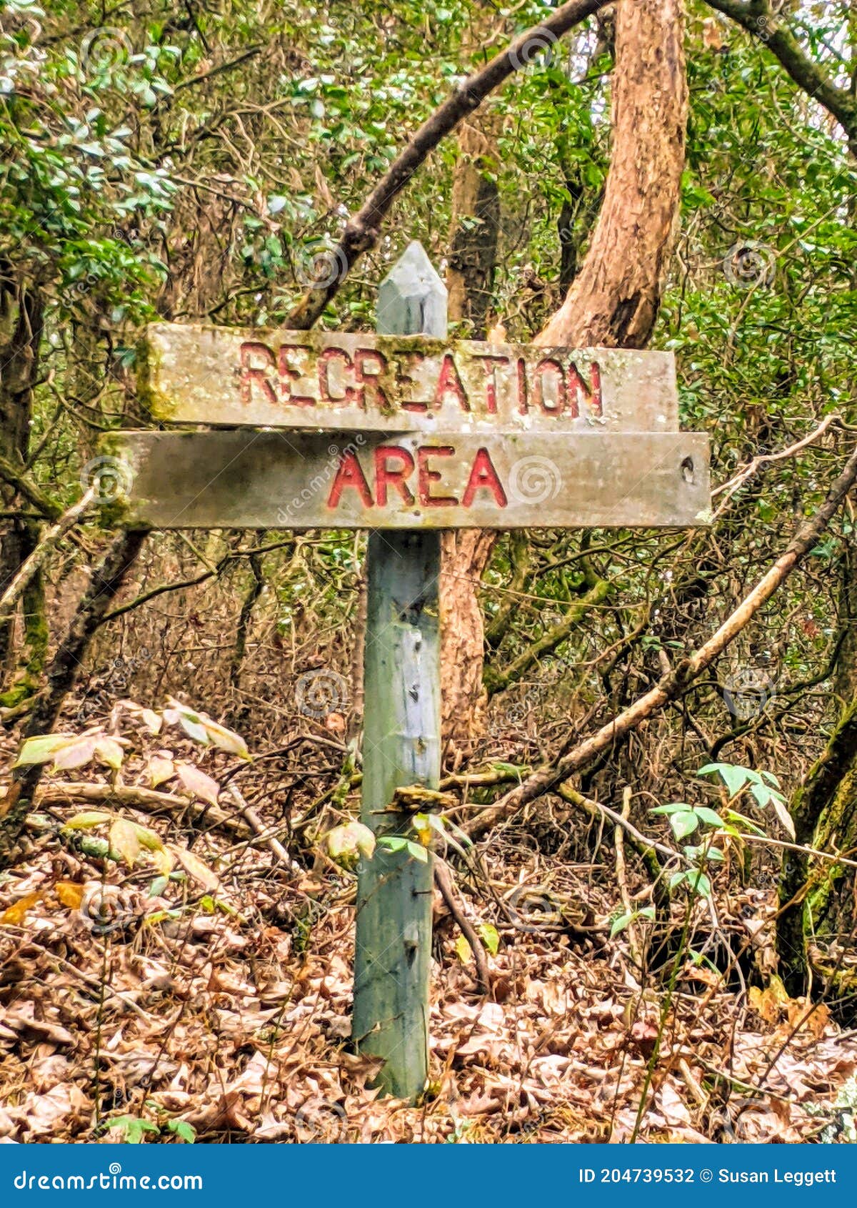Sign on a Trail through a Forest Stock Photo - Image of sign, mountain ...