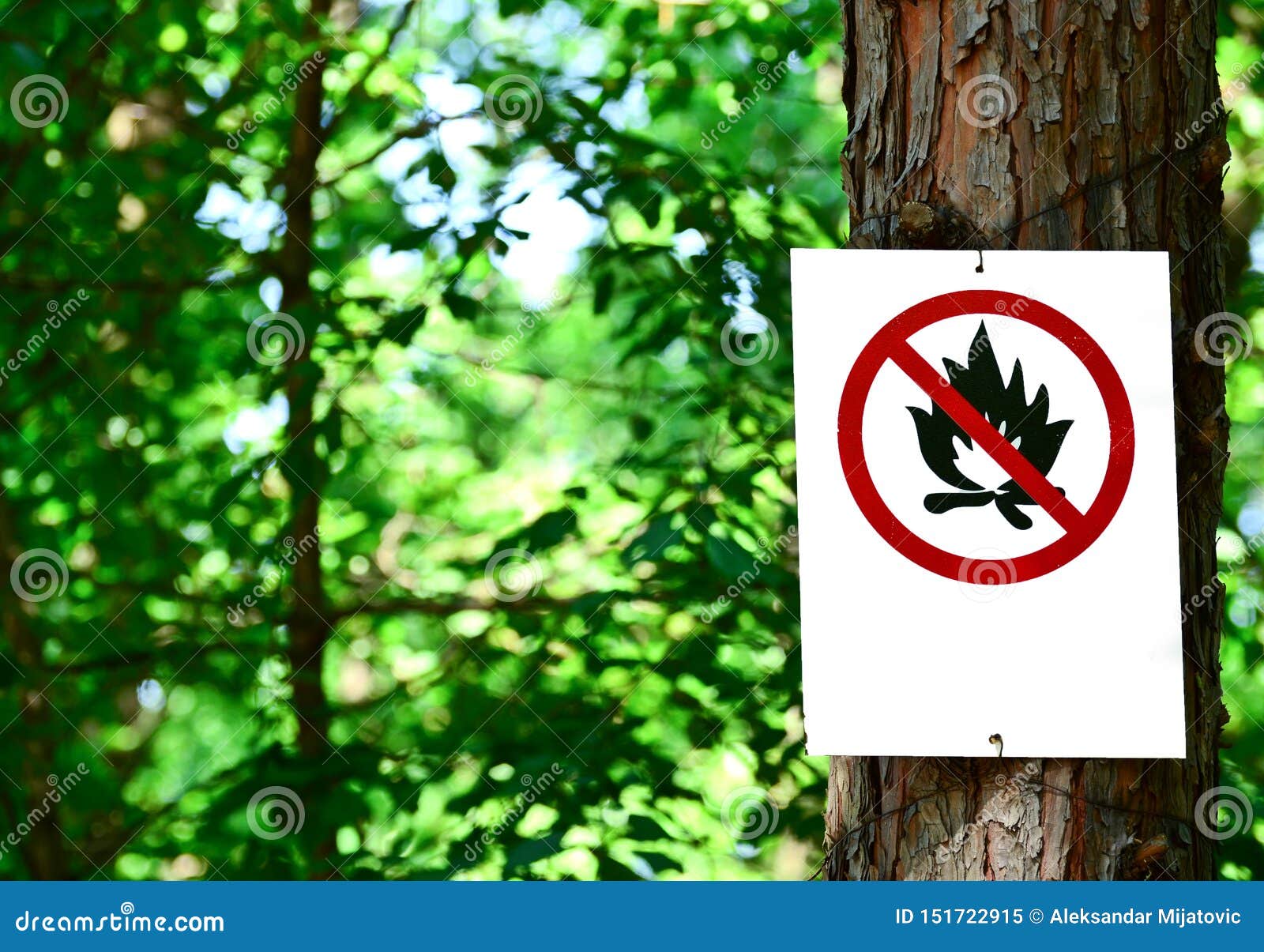 Sign on Tree in Forest - Prohibited Fire Concept Stock Image - Image of ...