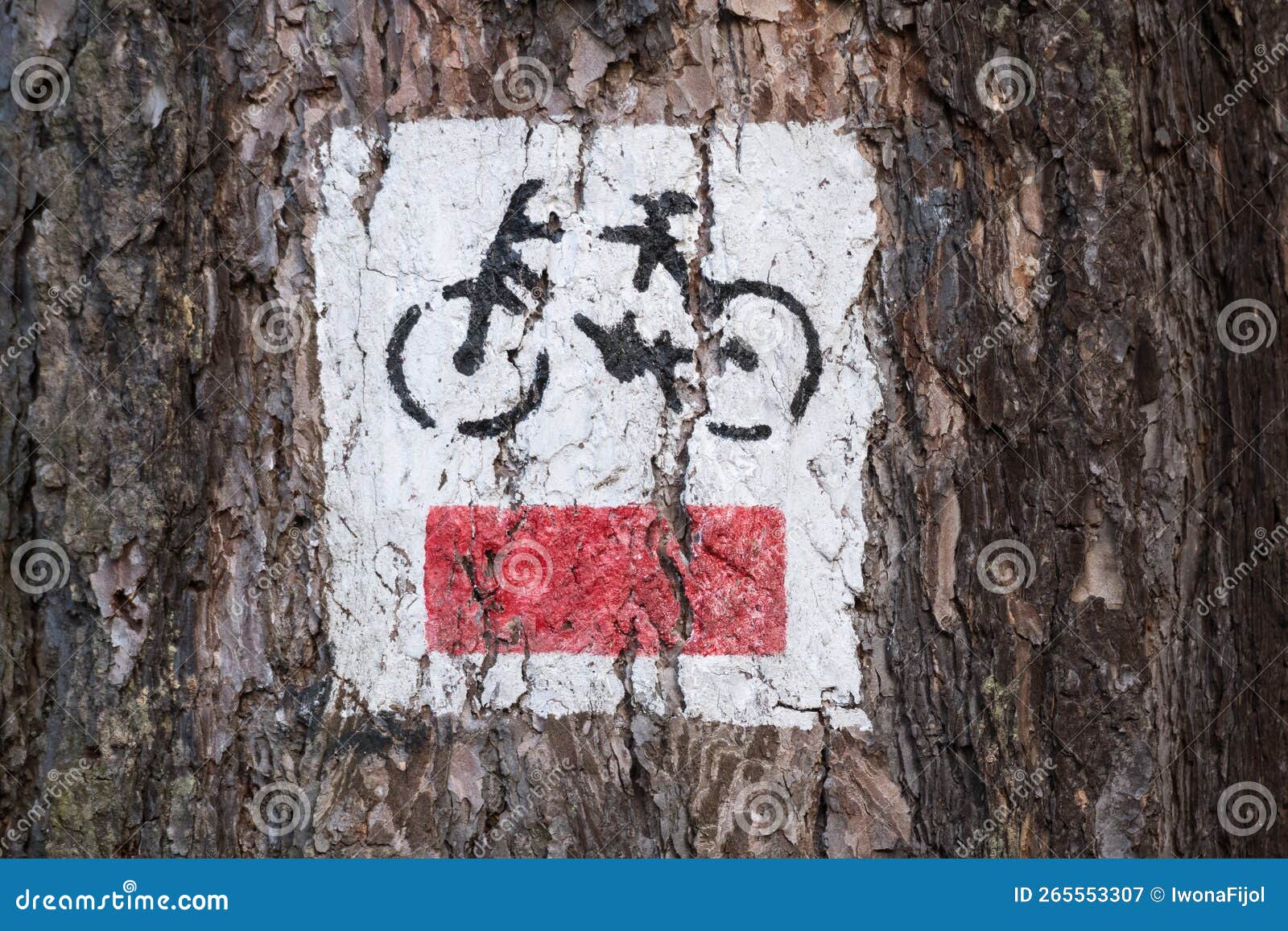 Sign on the Tree for a Red Bike Trail Stock Image - Image of bike ...