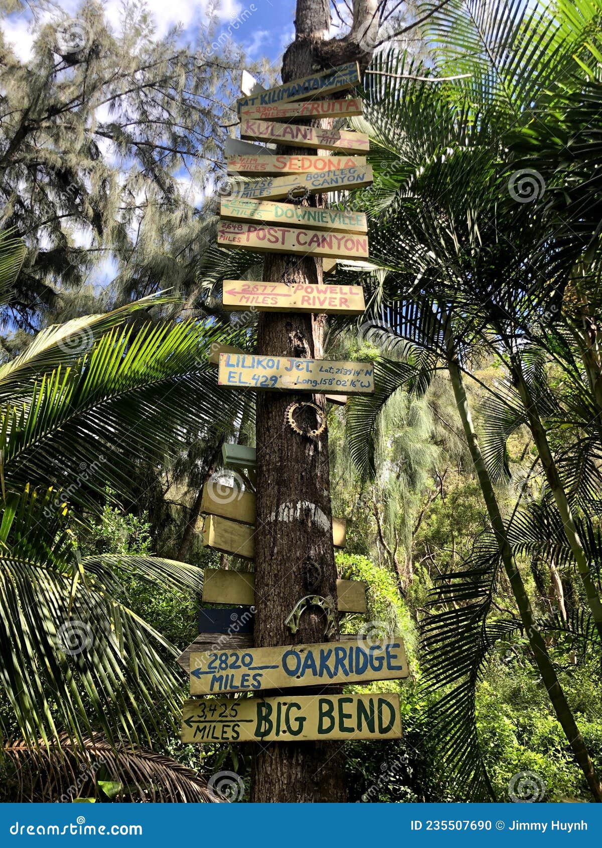 Sign tree stock photo. Image of temple, flower, garden - 235507690