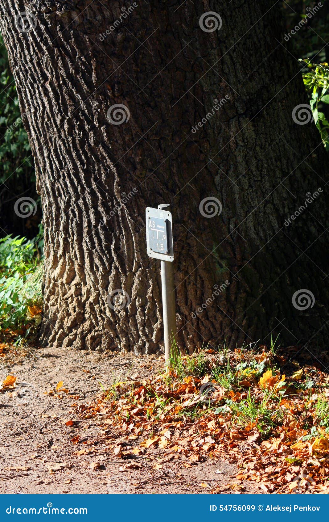 The sign and a tree trunk stock image. Image of sign - 54756099