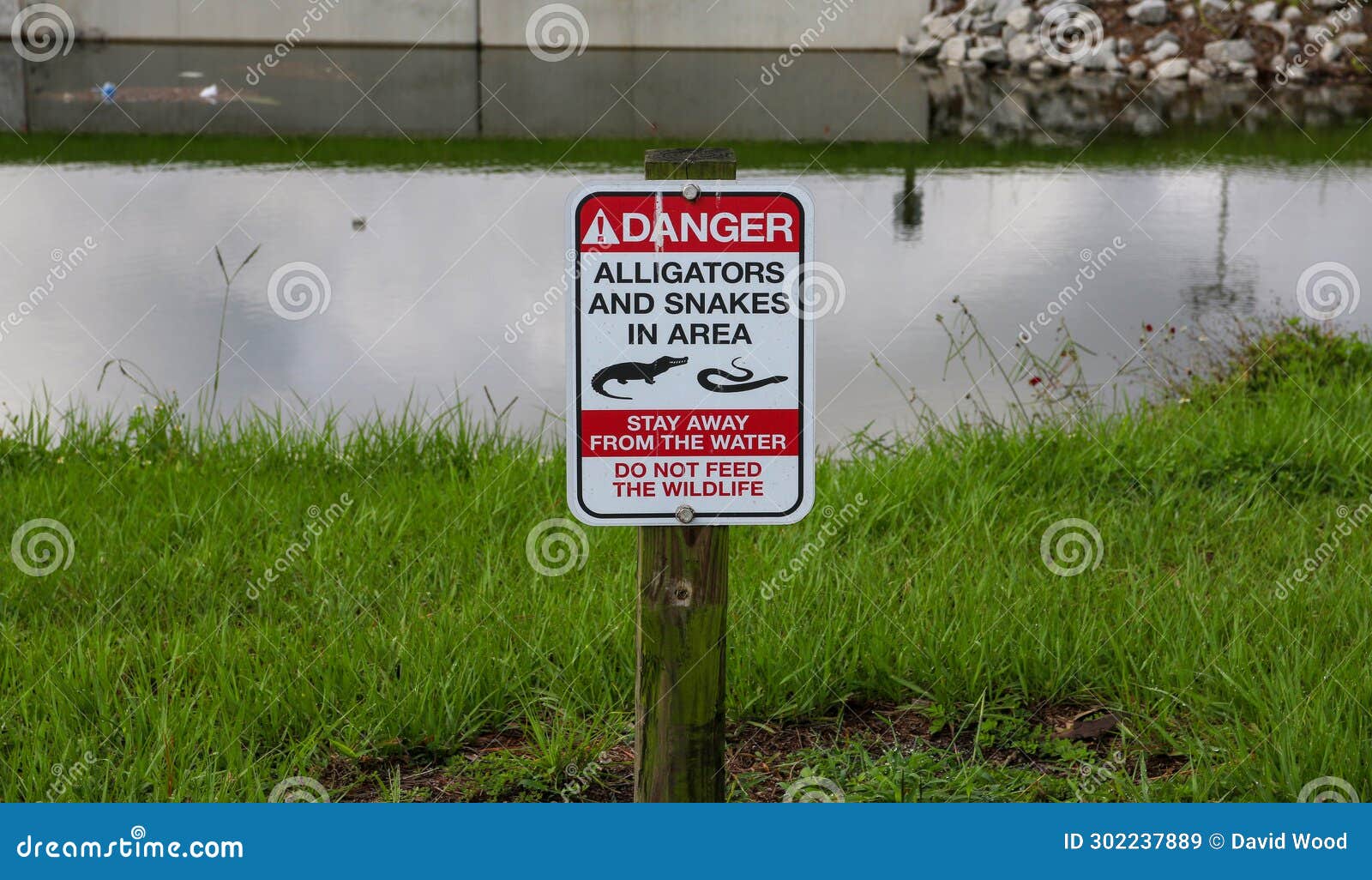 Sign Warning of Alligators and Snakes in the Area Stock Image - Image ...