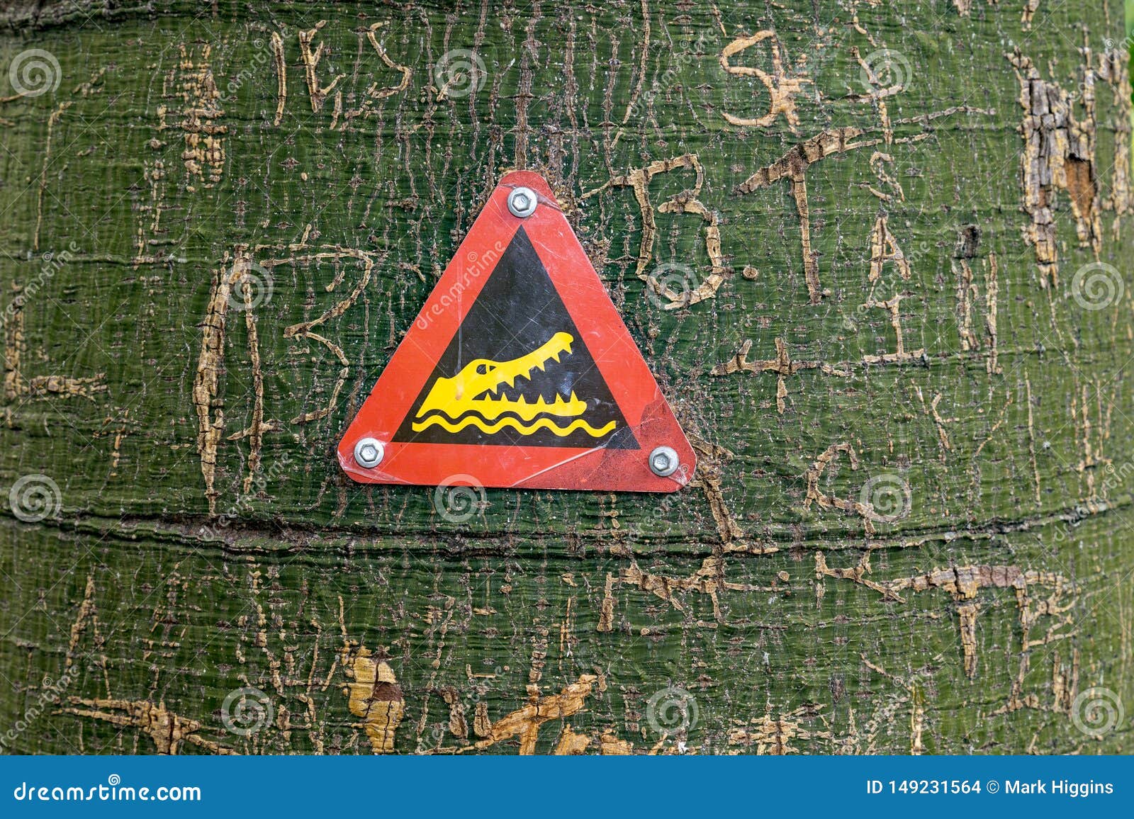 Sign warning of crocodiles stock photo. Image of creature - 149231564