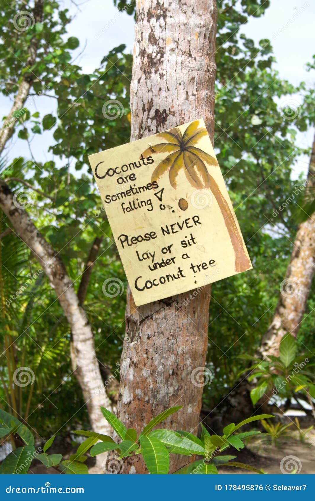 Sign Warning Not To Sit Under A Coconut Tree Royalty-Free Stock Image ...