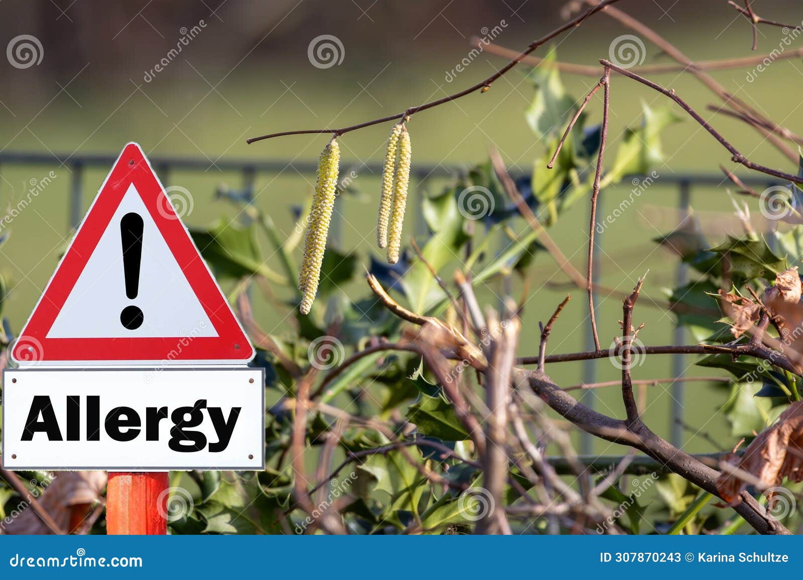 Sign with Warning Pollen Allergy Stock Image - Image of skin, disease ...