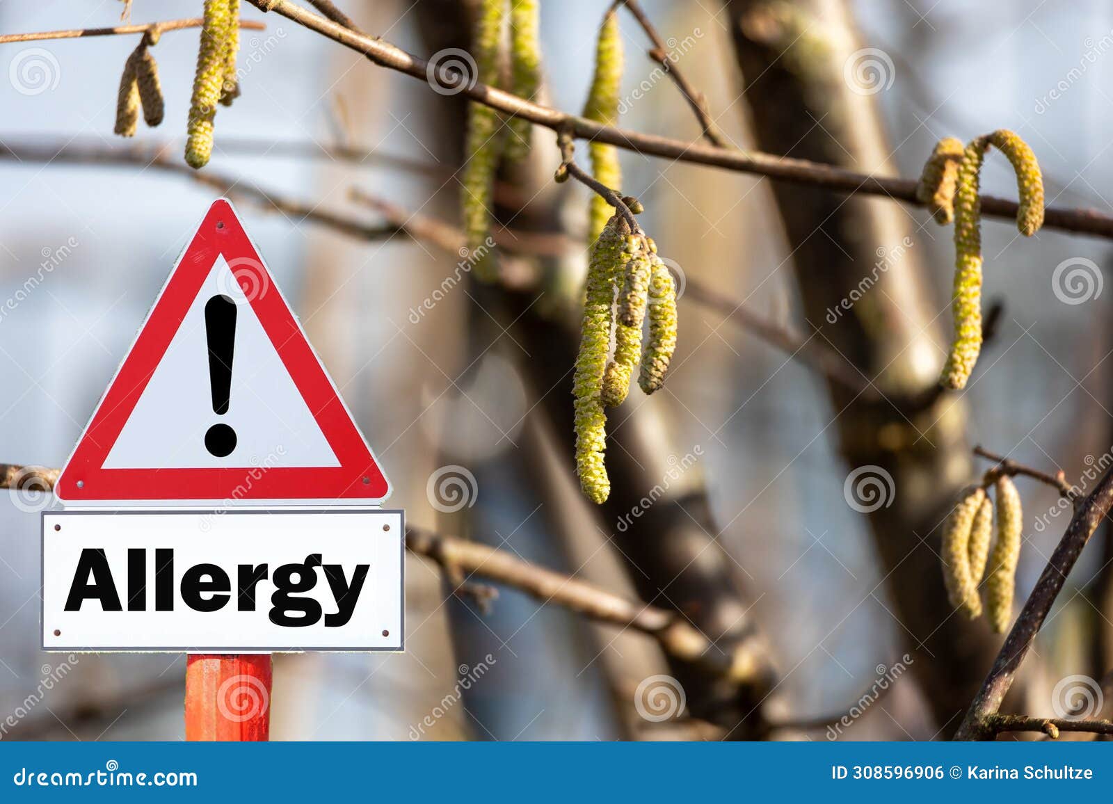 Sign with Warning Pollen Allergy Stock Photo - Image of flower, meadow ...