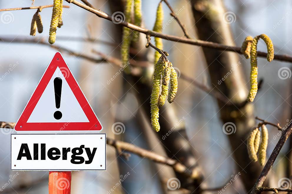 Sign with Warning Pollen Allergy Stock Photo - Image of flower, meadow ...
