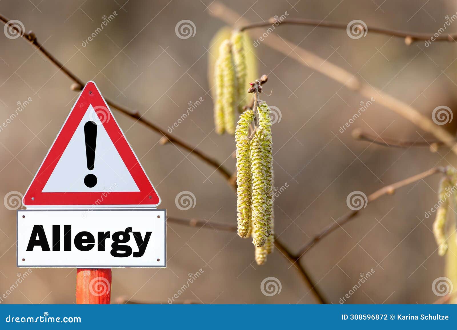 Sign with Warning Pollen Allergy Stock Photo - Image of pharmacy ...