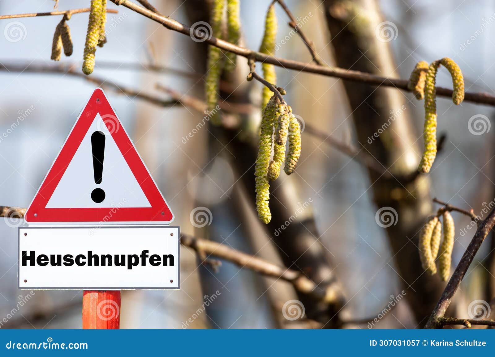 Sign with Warning Pollen Hay Fever Allergy Stock Image - Image of fever ...