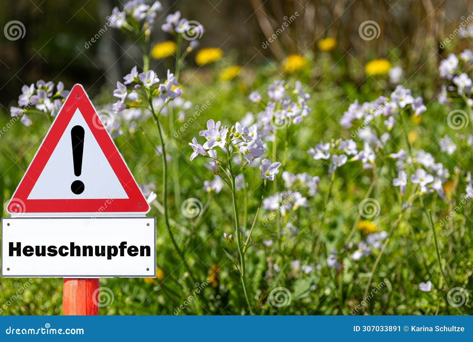 Sign with Warning Pollen Hay Fever Allergy Stock Image - Image of ...