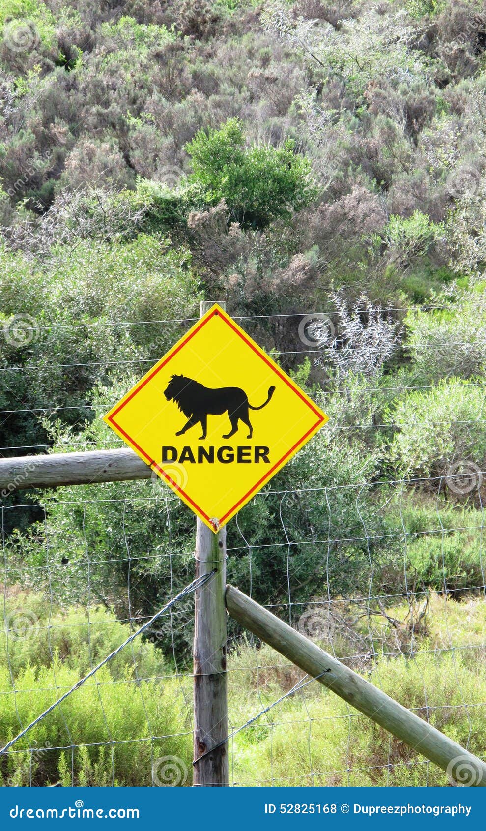 Sign Warning of the Presence of Lions Stock Photo - Image of plants ...