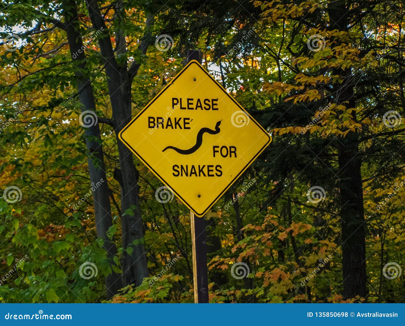 Sign Warning about Snakes on the Way Stock Photo - Image of attention ...