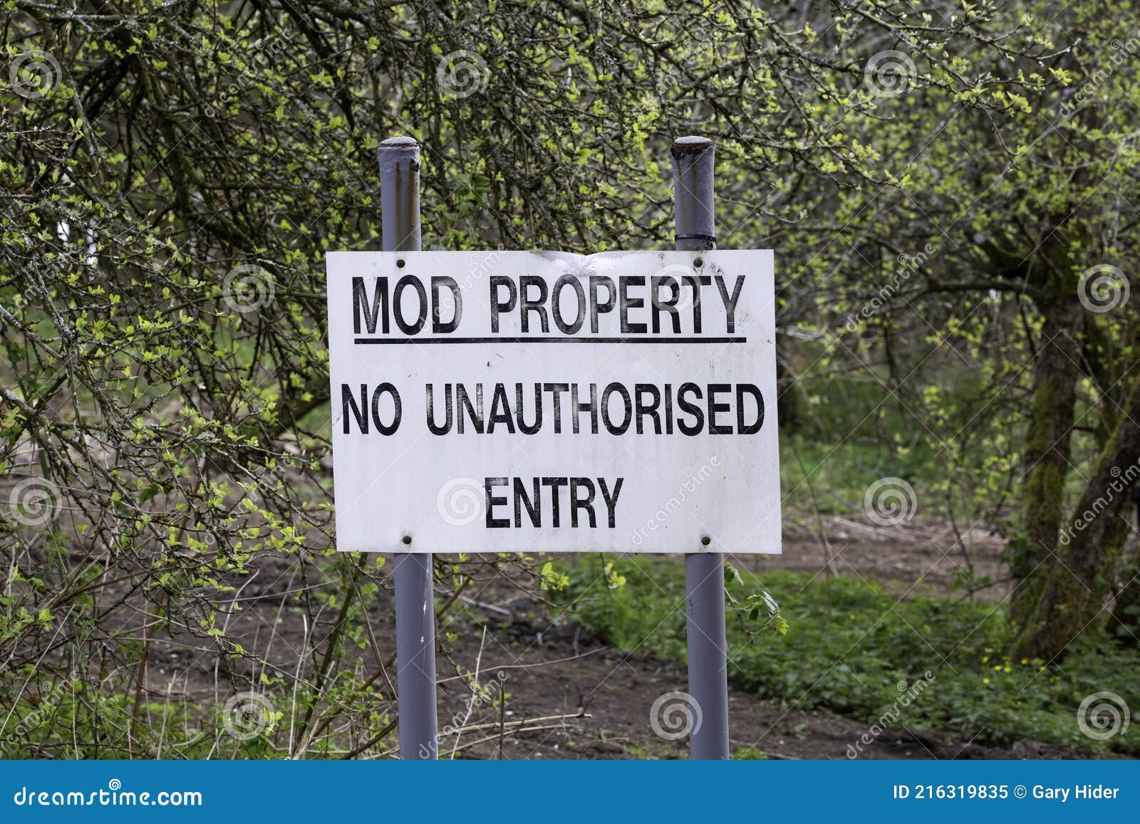 A Sign Warning that There is No Access To on MOD Property Stock Image ...