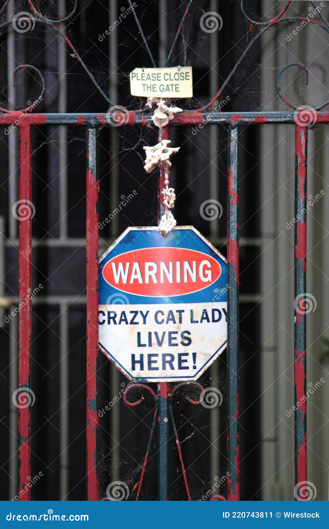 Advertising Architecture Art Attention Blue Building Cat City Comedy ...