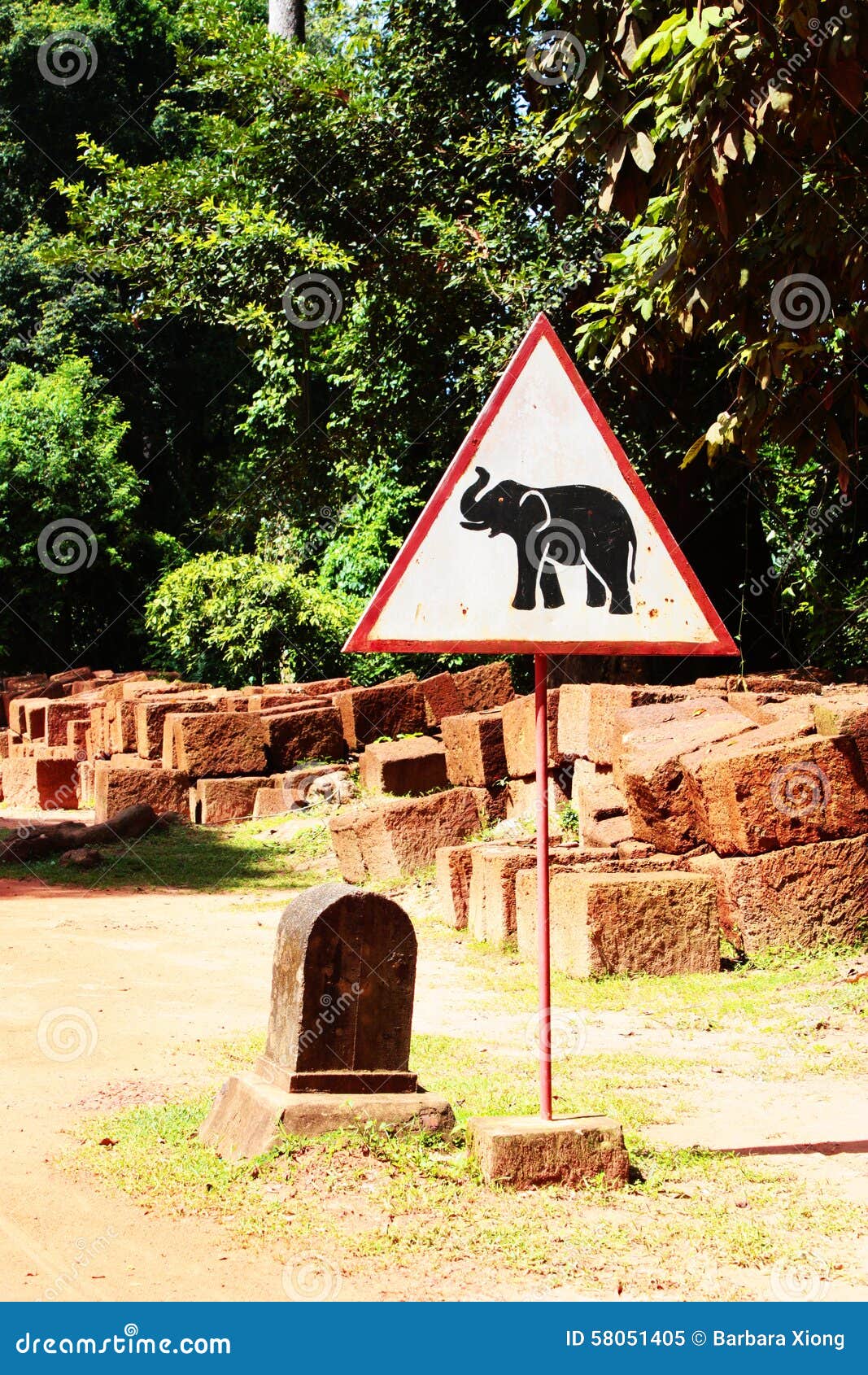Signal of elephant stock image. Image of sunshine, rock - 58051405