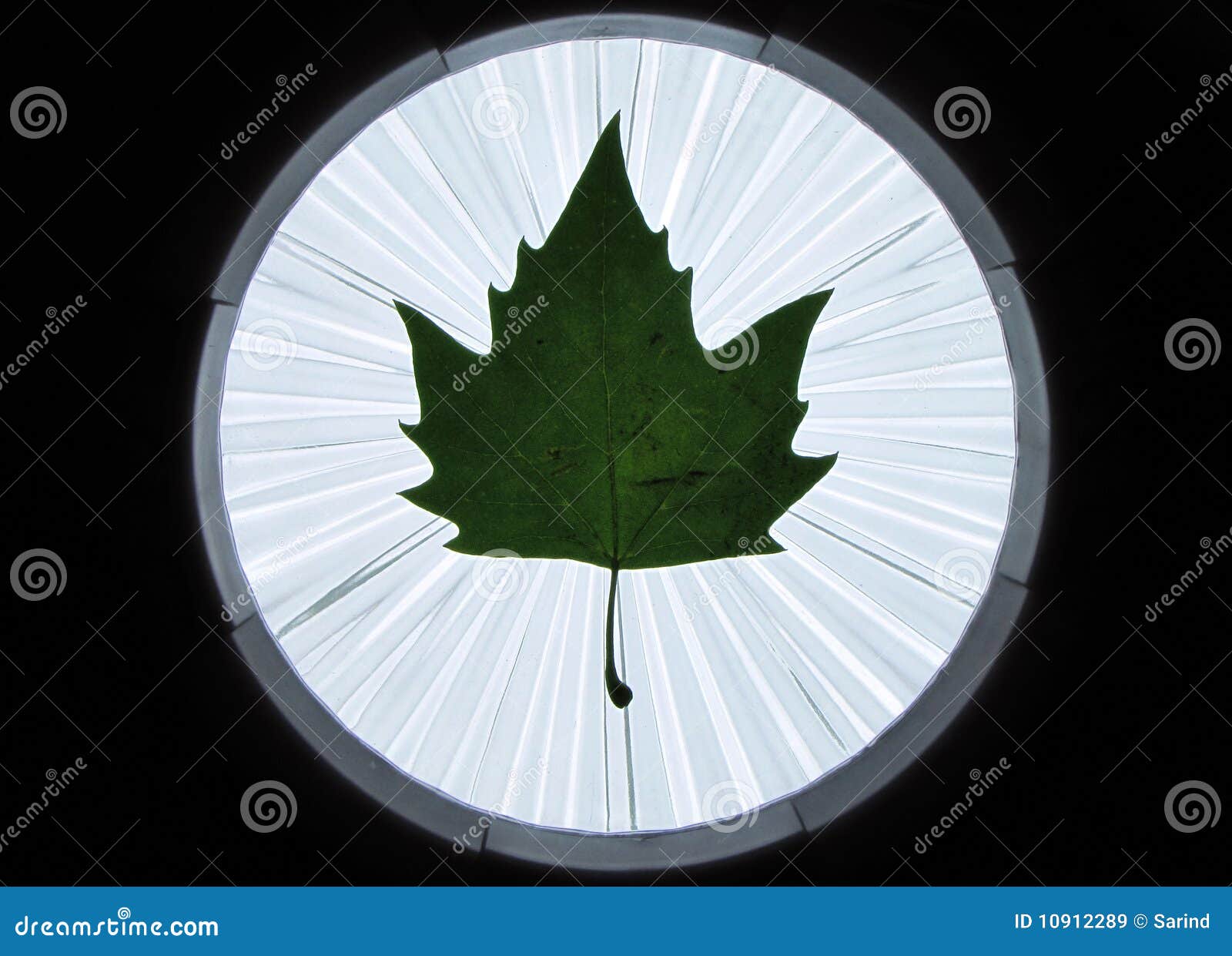 Signal Lantern To Call the Autumn - by Maple Leaf. Stock Image - Image ...