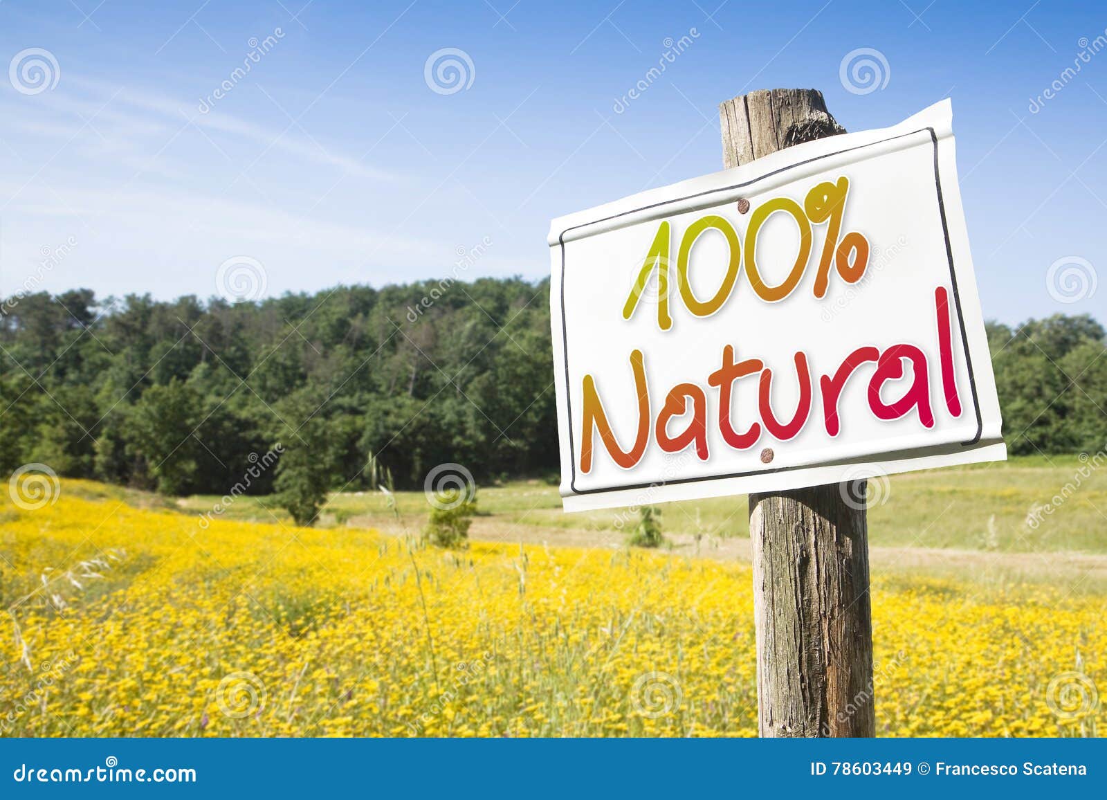 Signboard in the Countryside with Written Stock Image - Image of ...