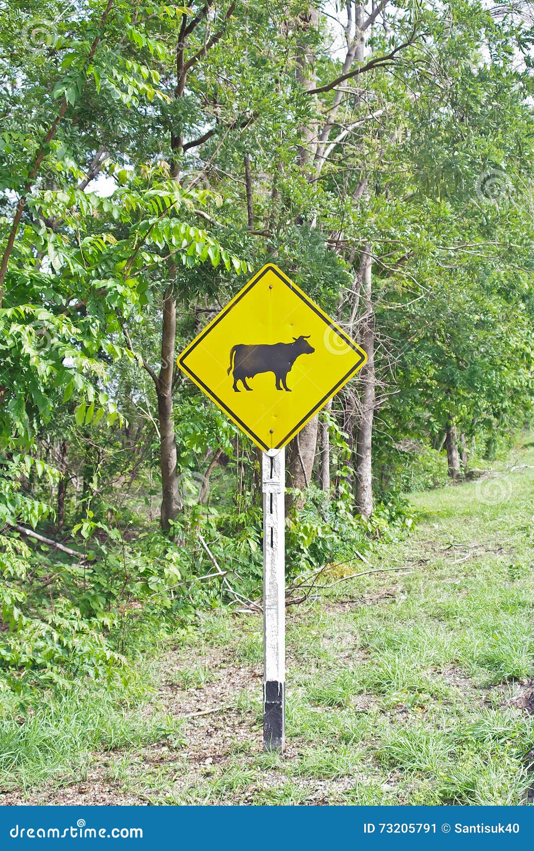 Signboard for Cow Protection Stock Image - Image of prevention ...