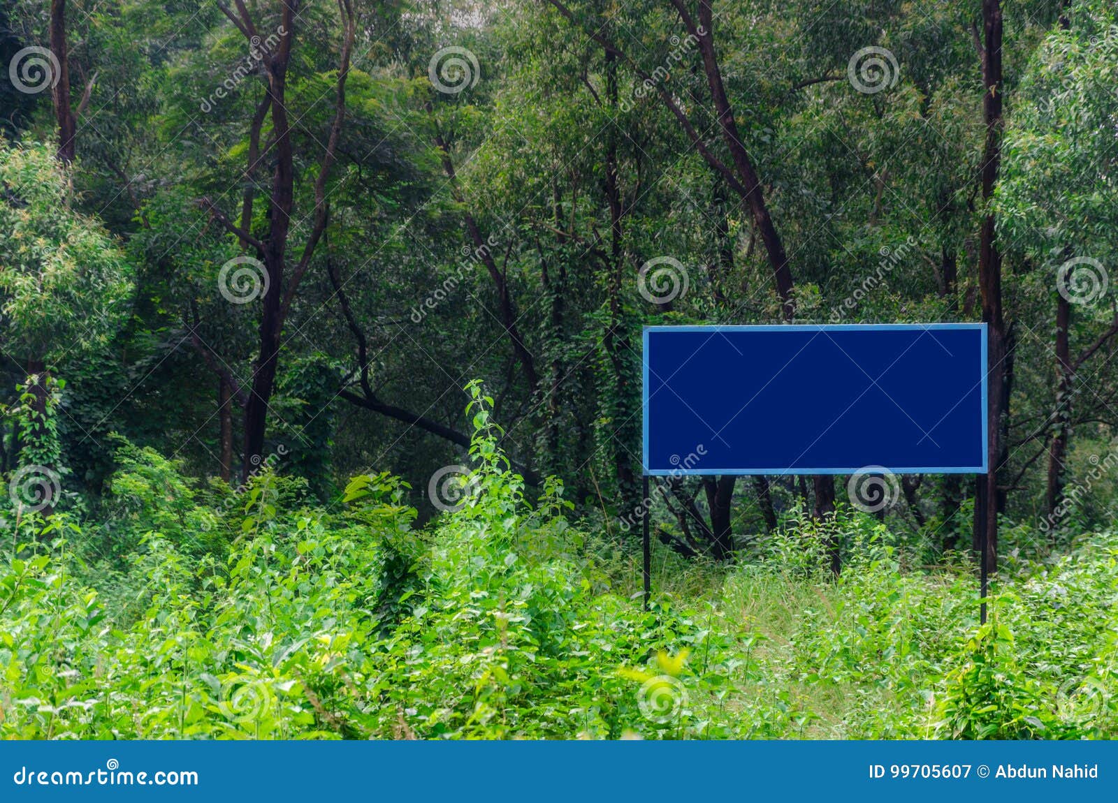 Signboard in the Forest stock image. Image of information - 99705607