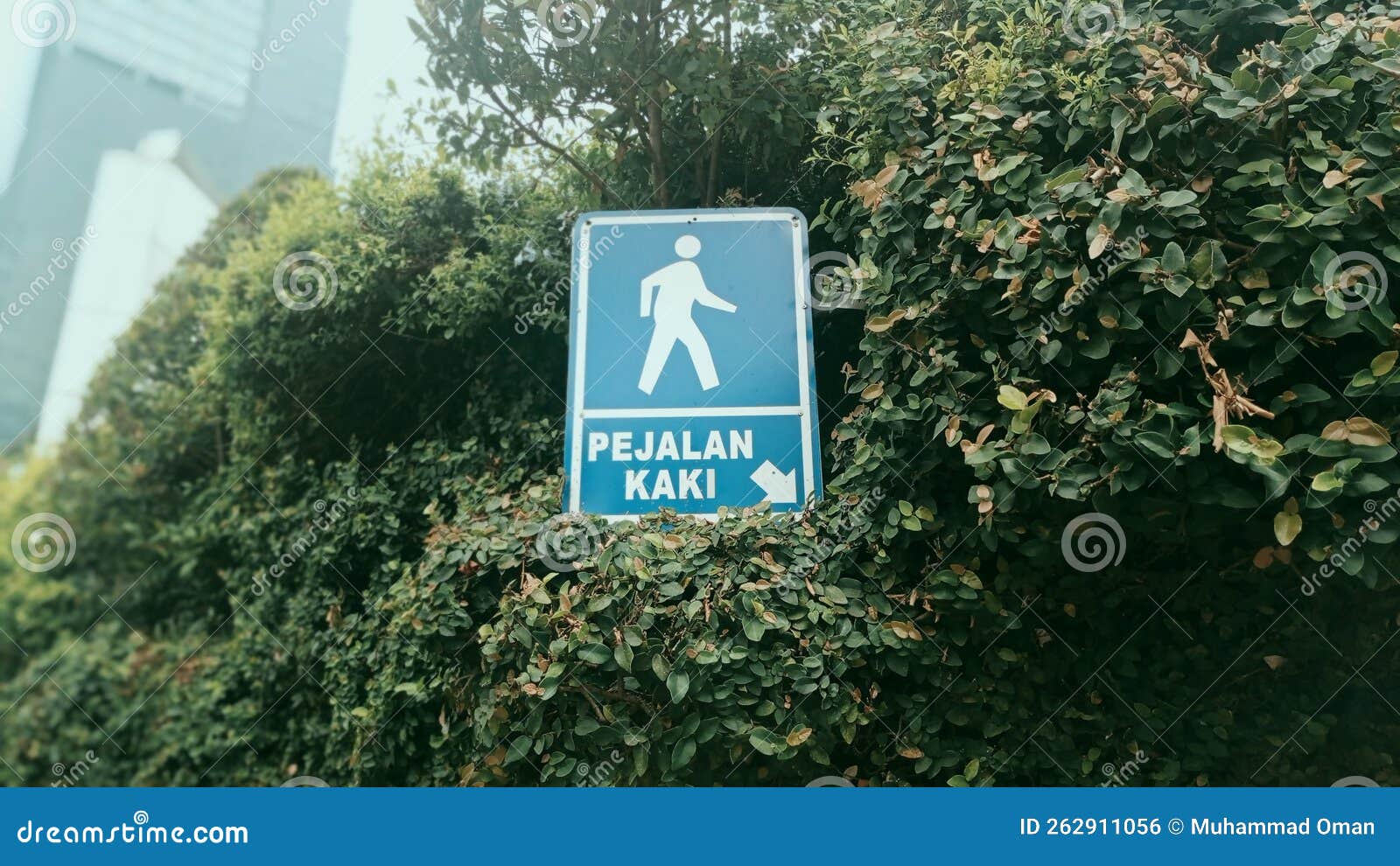 Signboard point at way stock photo. Image of road, sign - 262911056