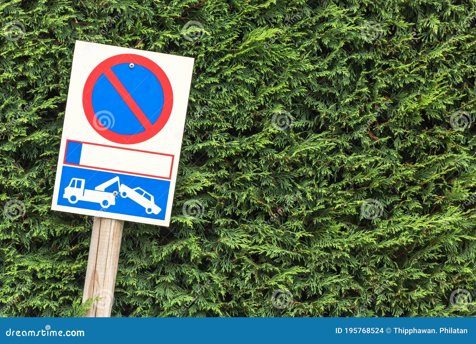 Signboard in Red No, Not Allowed Symbol on Green Leaves Background ...