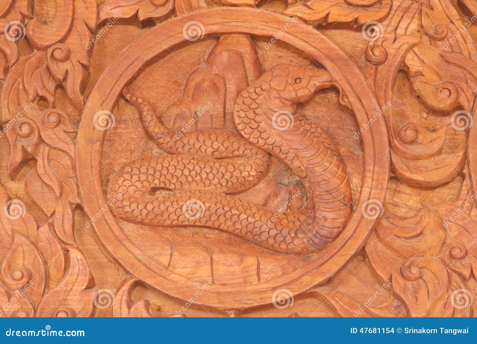 Signe Chinois D Horoscope De Zodiaque De Serpent Photos libres de ...