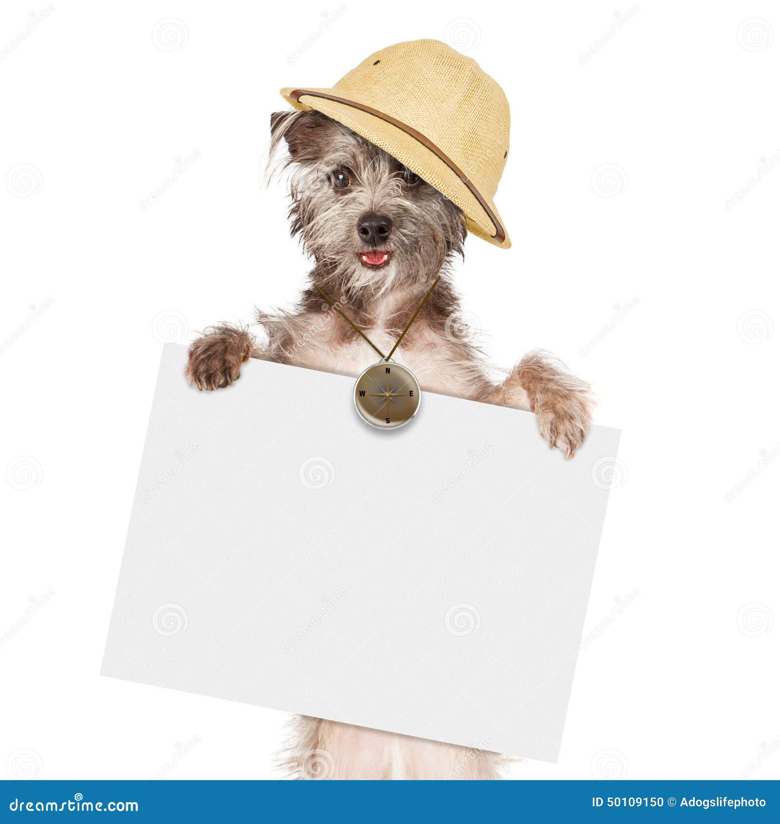 Signe De Blanc De Guide Touristique De Chien Photo stock - Image du ...