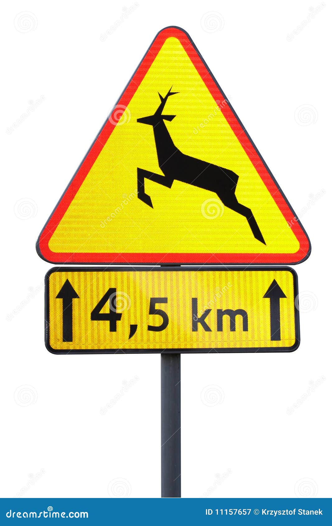 Signe de route image stock. Image du animal, signes, signe - 11157657