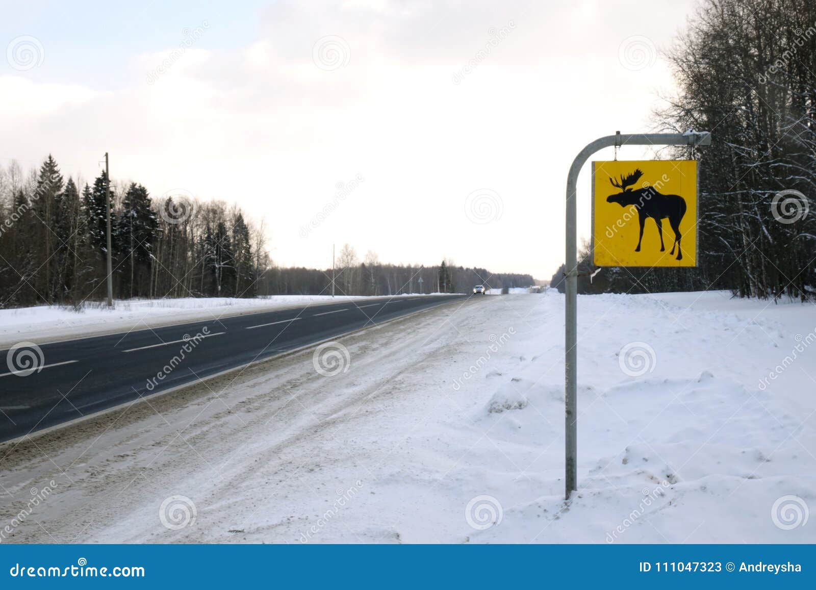 Signe De Route Les Orignaux Sont Les Animaux Sauvages Image stock ... Signe De Route Les Orignaux Sont Les Animaux Sauvages Image stock ...