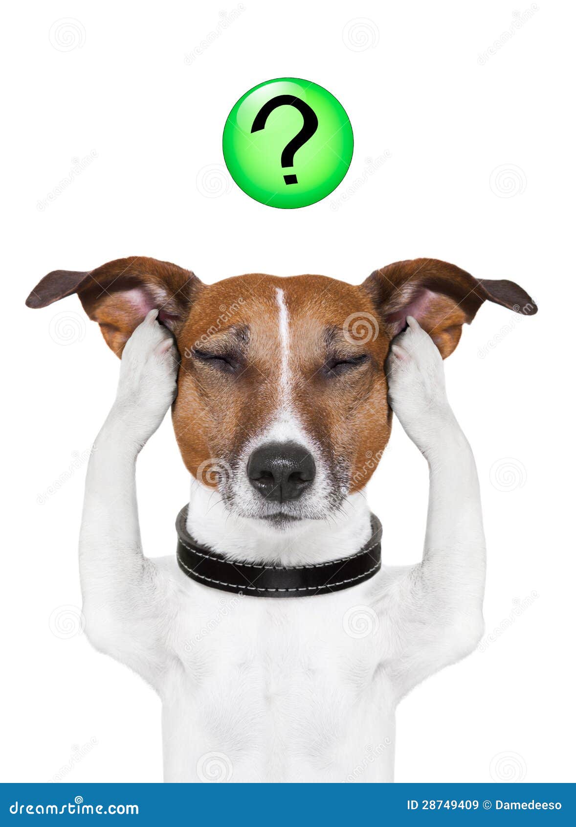 Signo De Interrogación Del Perro Imagen de archivo - Imagen de idea ...