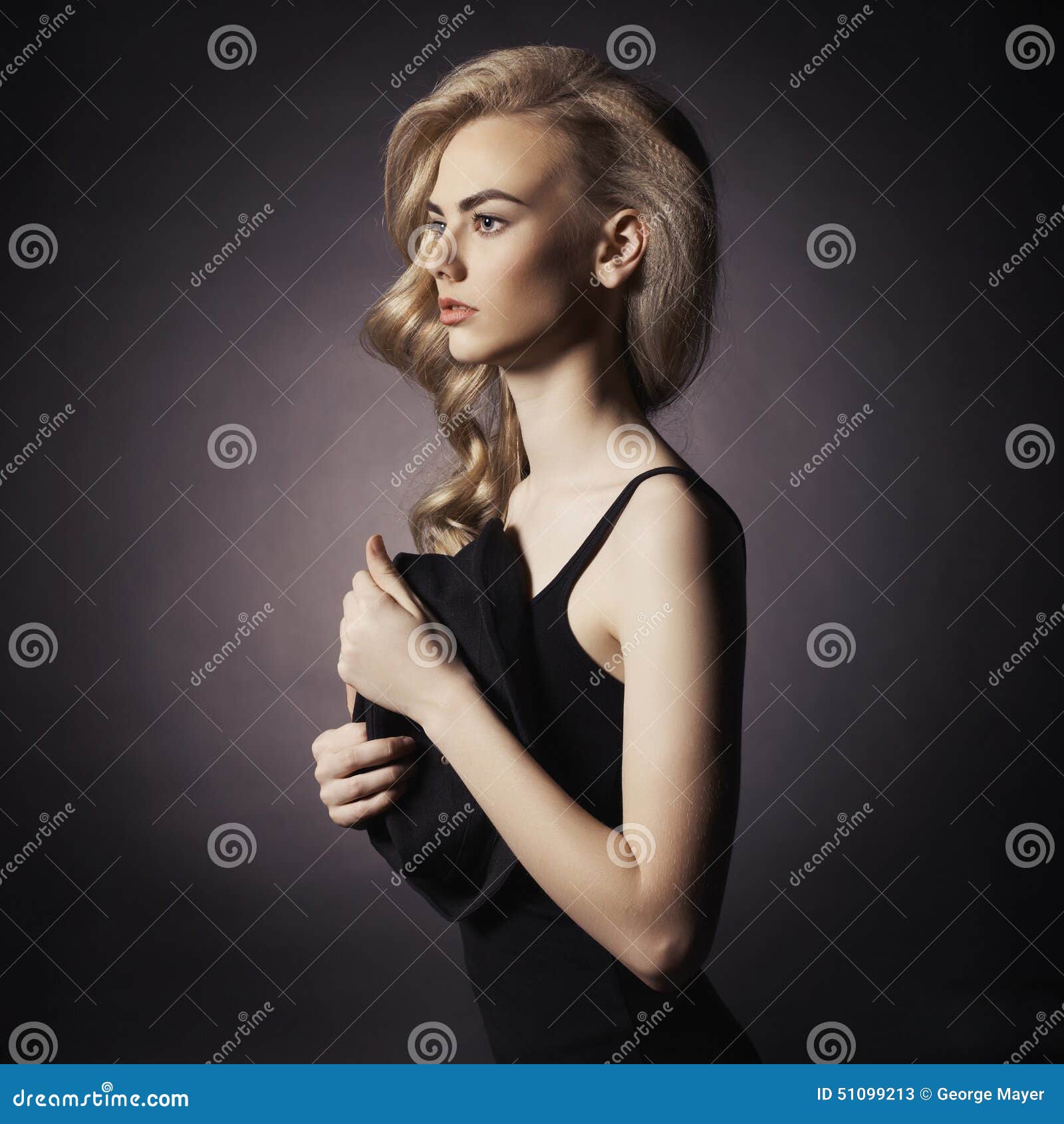 Signora elegante immagine stock. Immagine di ritratto - 51099213