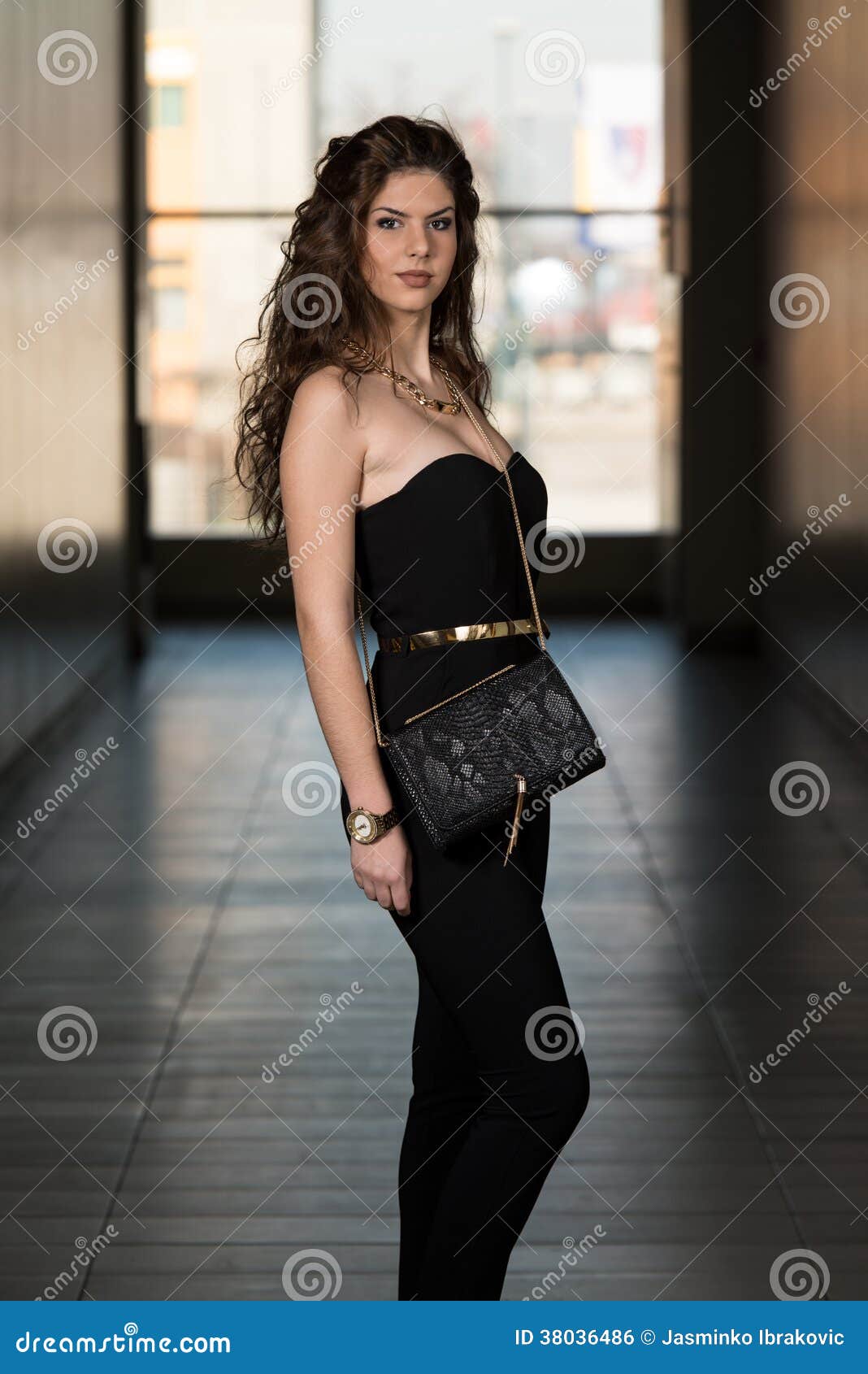 Signora Elegante with Stylish Hairstyle Fotografia Stock - Immagine di ...