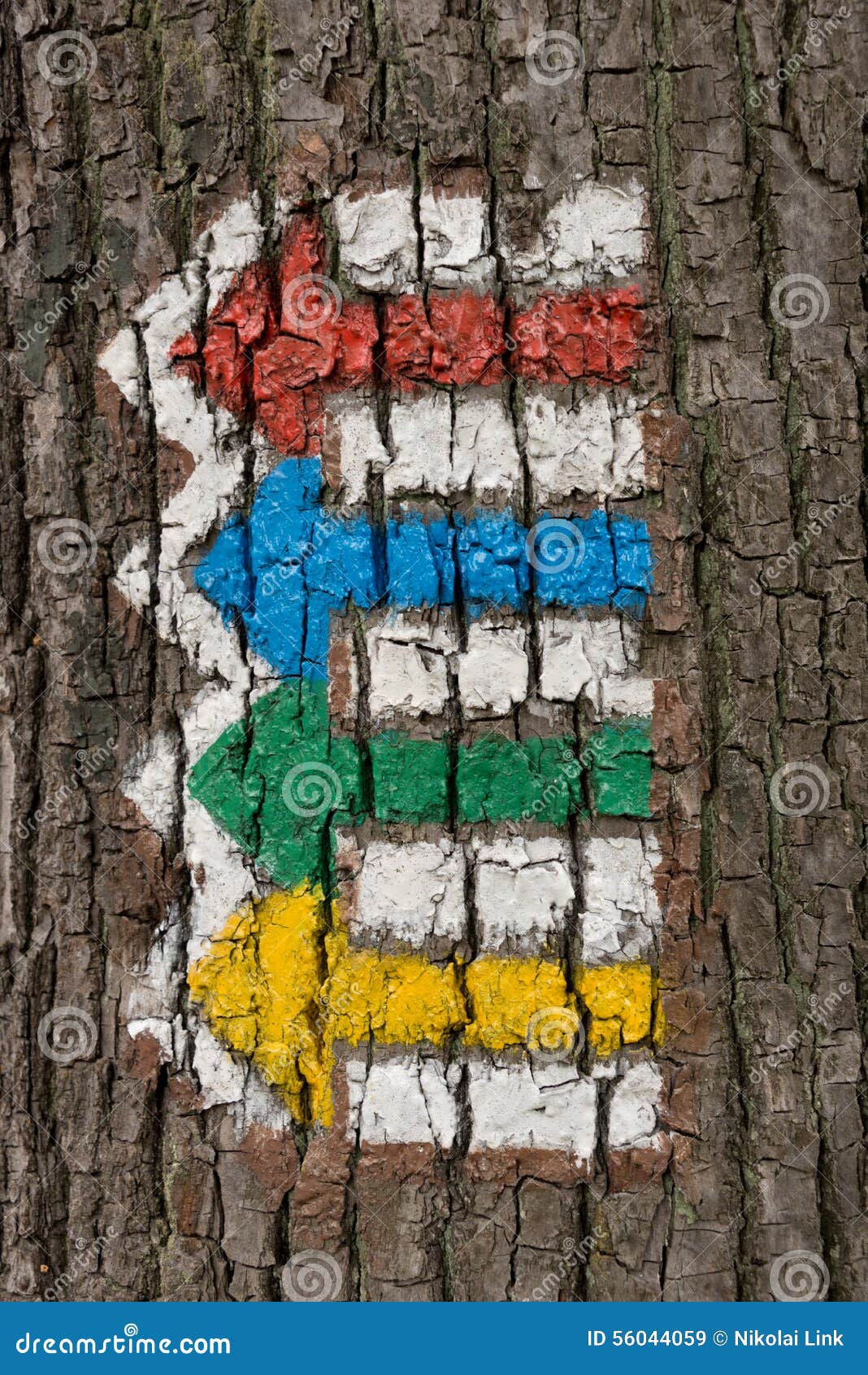 Signpost on bark stock image. Image of painted, arrow - 56044059