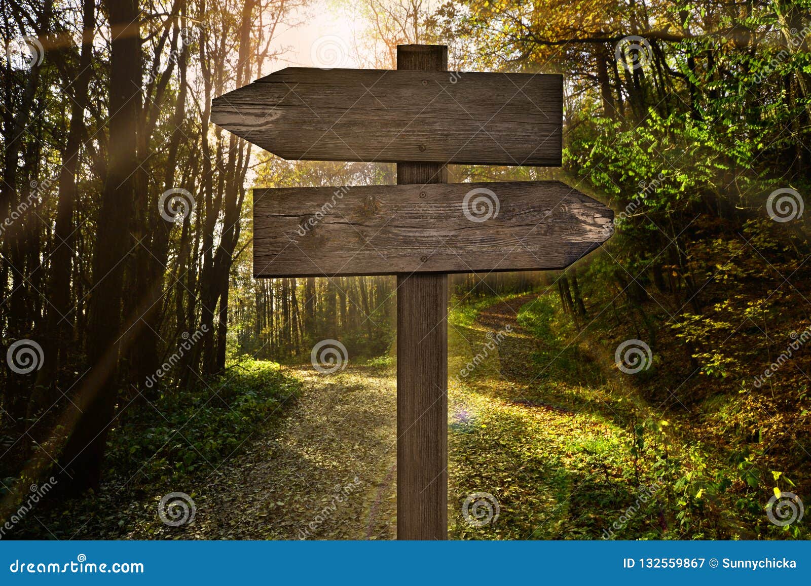 Signpost Direction Forest Lanes Parting Dirt Road Stock Image - Image ...