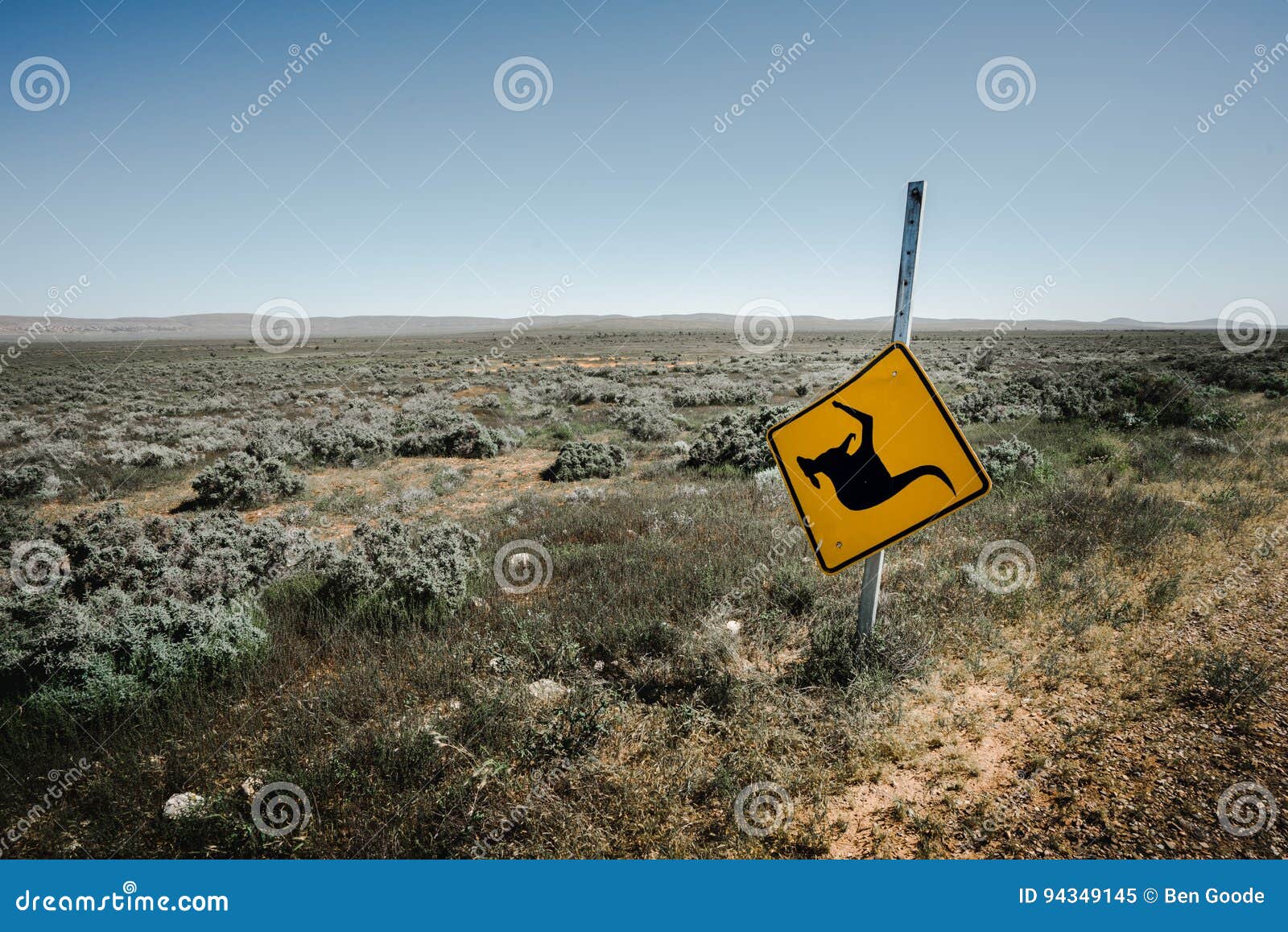 Its Roo Country stock image. Image of aussie, australia - 94349145