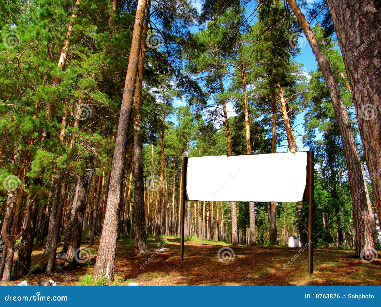 Signpost in the forest stock photo. Image of long, deep - 18763826